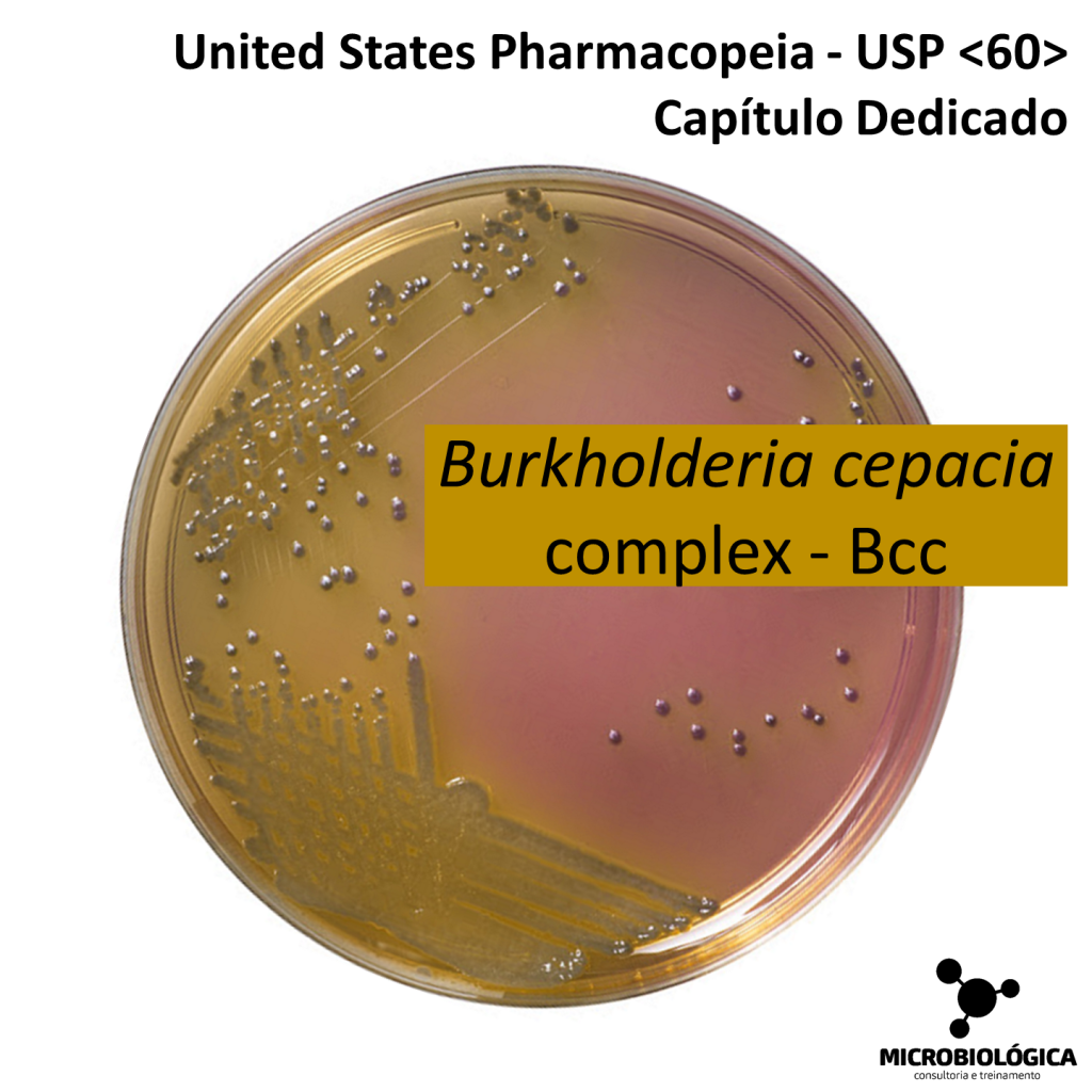 Um capítulo dedicado – Burkholderia cepacia complex (Bcc) – Microbiológica